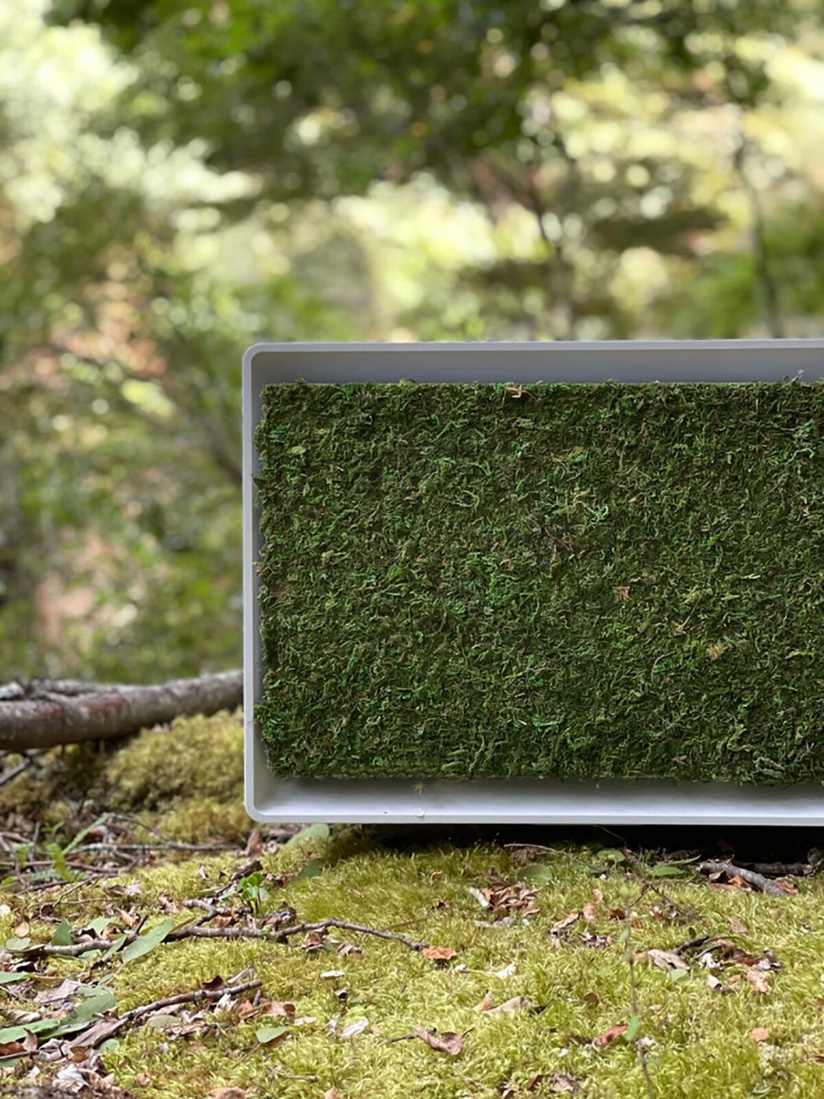 This Moss-Covered Window AC is A Game Changer