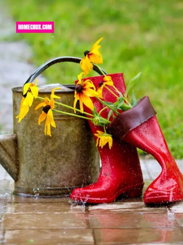 How to get your garden ready for rainfall?