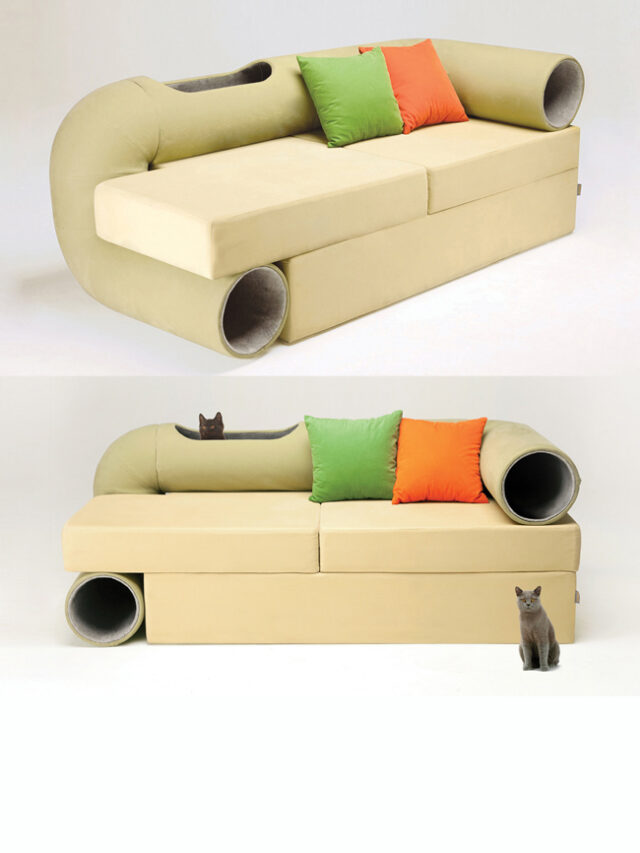 These pet-friendly furniture are pawfect for you and your fur ball