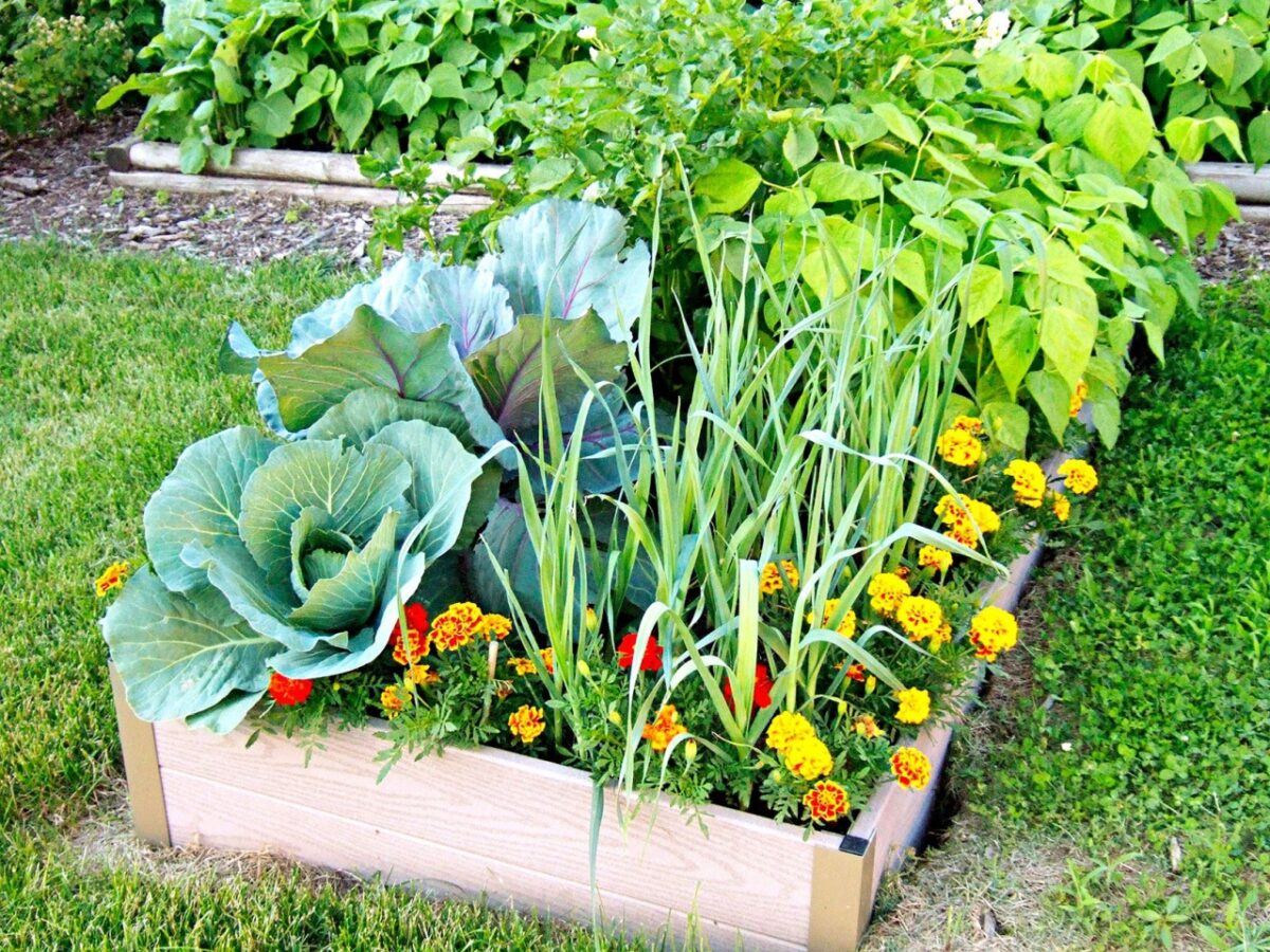 10 Fall Gardening Tips to Prepare Your Garden for Cold Season