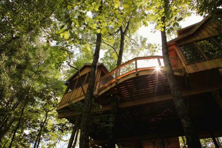 Pete Nelson Builds Mountain-View Treehouses in Tennessee