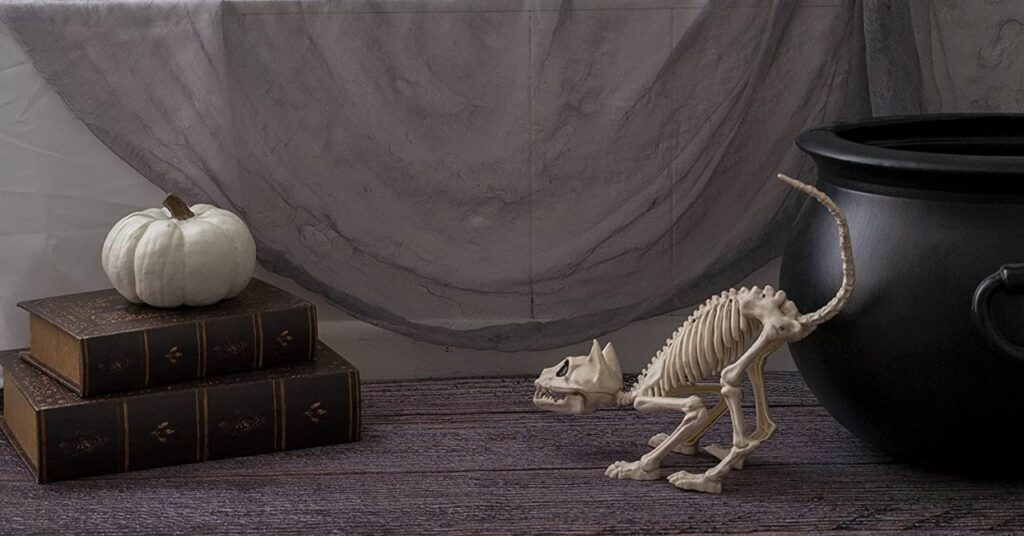 15+ Most Trending Halloween Skeleton Props to Buy in 2025