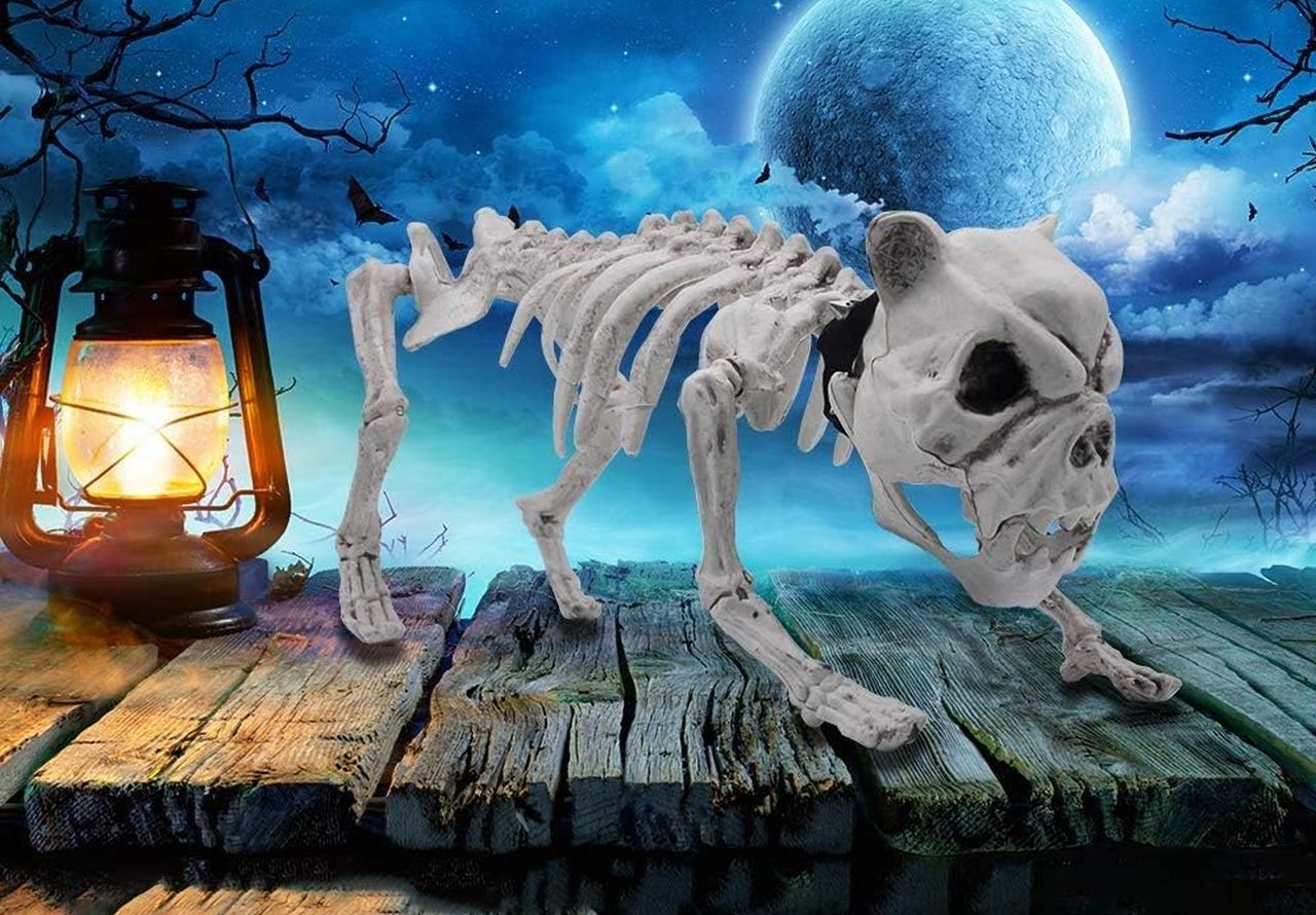 15+ Most Trending Halloween Skeleton Props to Buy in 2023