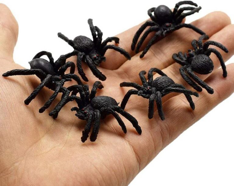 10+ Best Spider Halloween Decorations in 2022