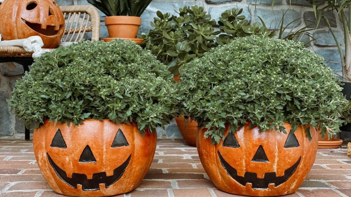 How to Make a Pumpkin Planter For Halloween