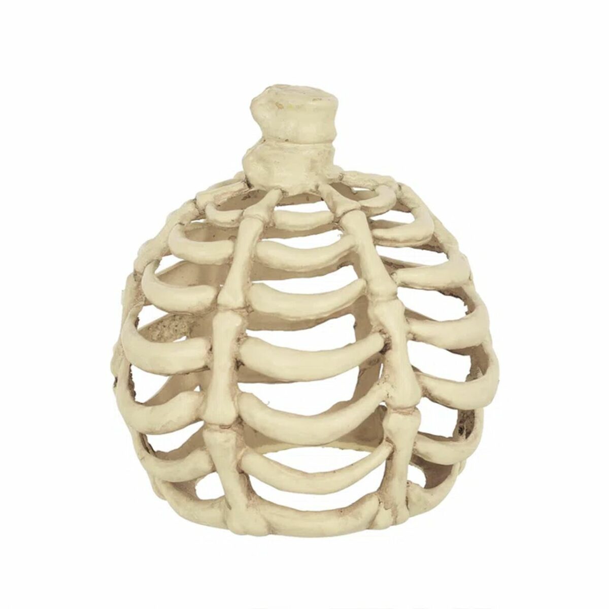 15+ Most Trending Halloween Skeleton Props to Buy in 2023