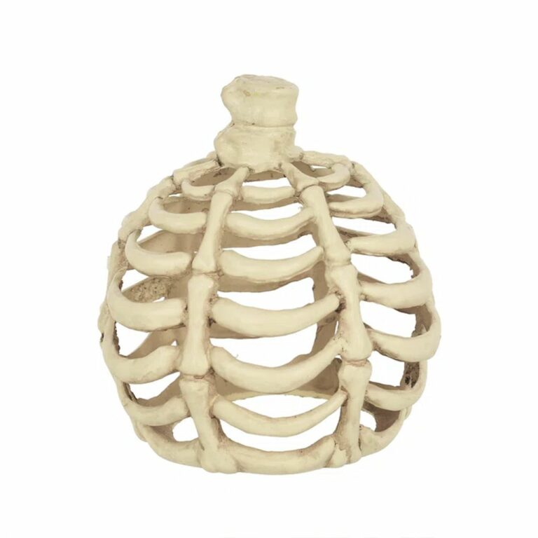 15+ Most Trending Halloween Skeleton Props to Buy in 2023