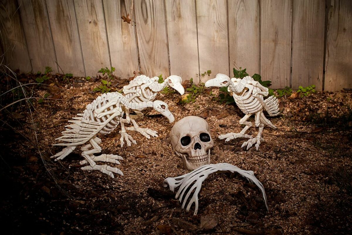 15+ Most Trending Halloween Skeleton Props to Buy in 2025