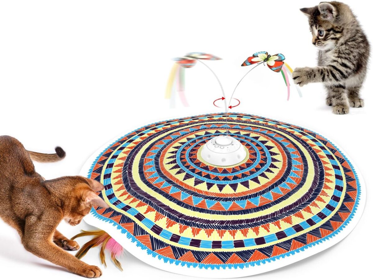 20+ Cat Gifts for Christmas Handpicked With Purrfect Care