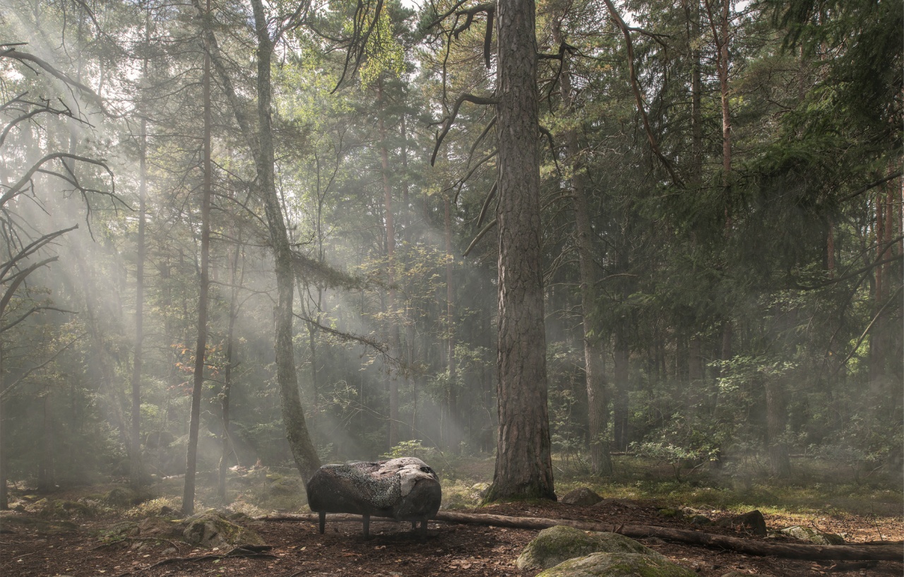 Nature-Inspired Furniture Collection Brings Wilderness Home