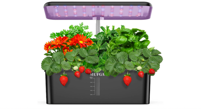 10 Best Automated Indoor Gardens to Buy in 2023
