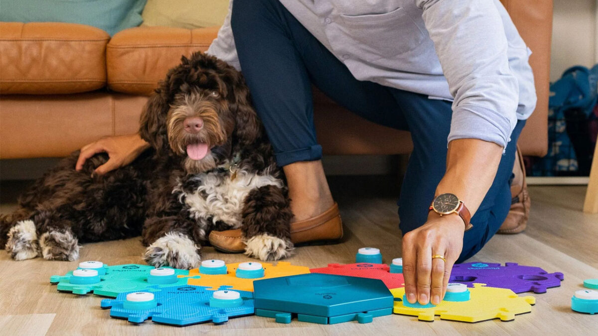 FluentPet Connect Lets Your Pet Talk to You With a Button Tap