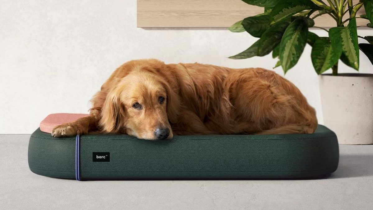 Barc is Ergonomic, Modular and Super Comfy Bed for Your Dog