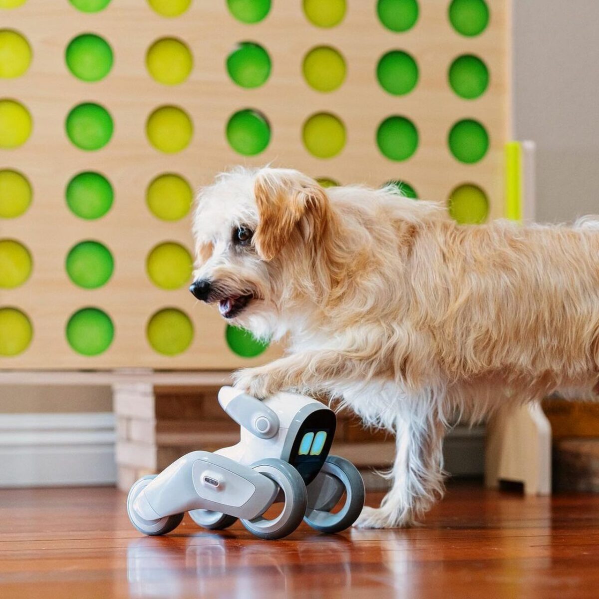 Loona is Smart Robotic Companion for Those Allergic to Pets
