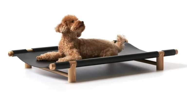 This Designer Travel Dog Bed Folds Up into a Bag