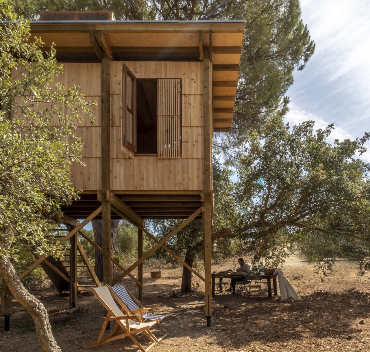 Madeiguincho’s Columba Treehouse has Playful Slide and Skylight