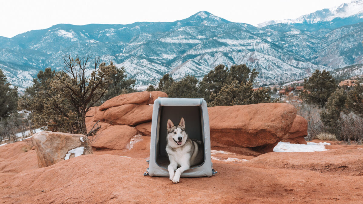 Enventur Inflatable Travel Dog Kennel Keeps Your Pup Cozy, Calm