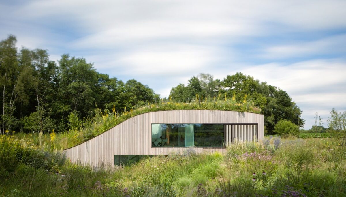 15 Best Earth-Sheltered Homes From Around the World