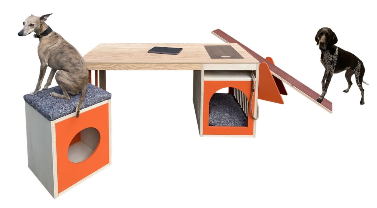 The Agility Desk is also a Cozy Home for Your Dog