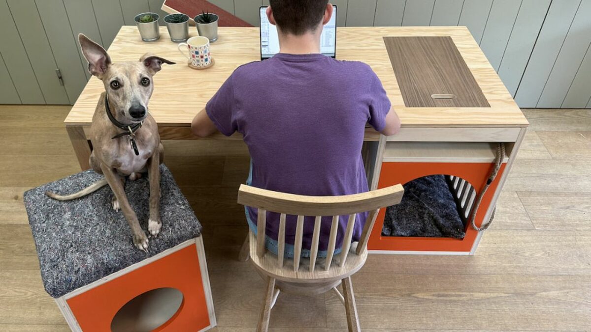 The Agility Desk is also a Cozy Home for Your Dog