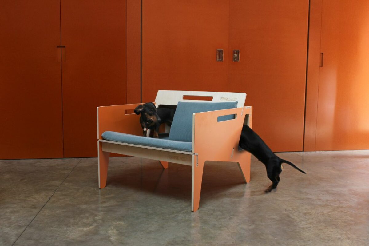 Nomad Juno Chair Hides Your Dog Behind Your Back