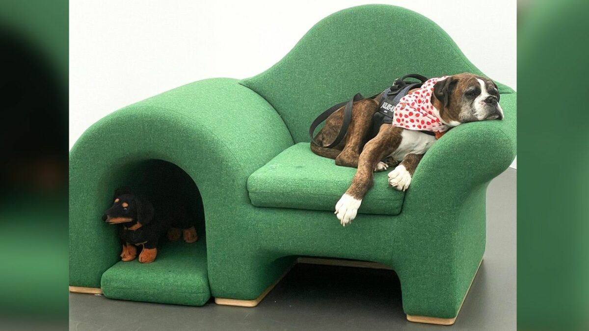 The Hound Lounge Chair Doubles as Pet Kennel