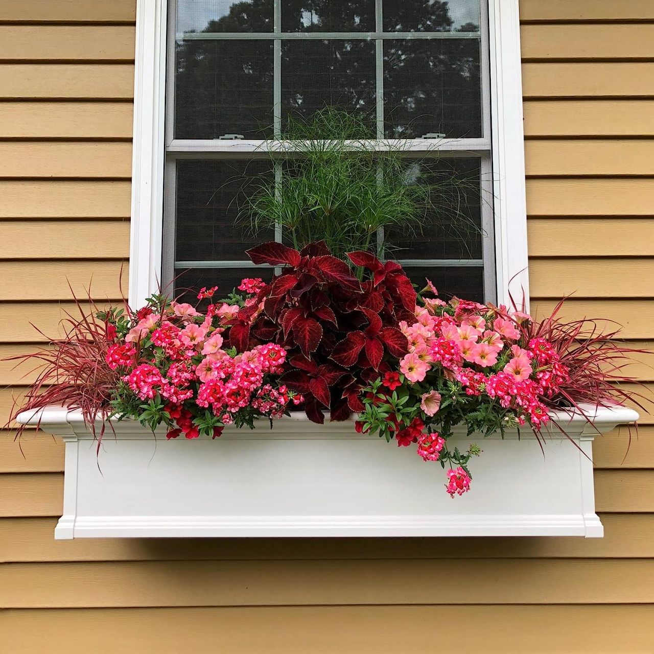 Things to Know When Installing a Window Box