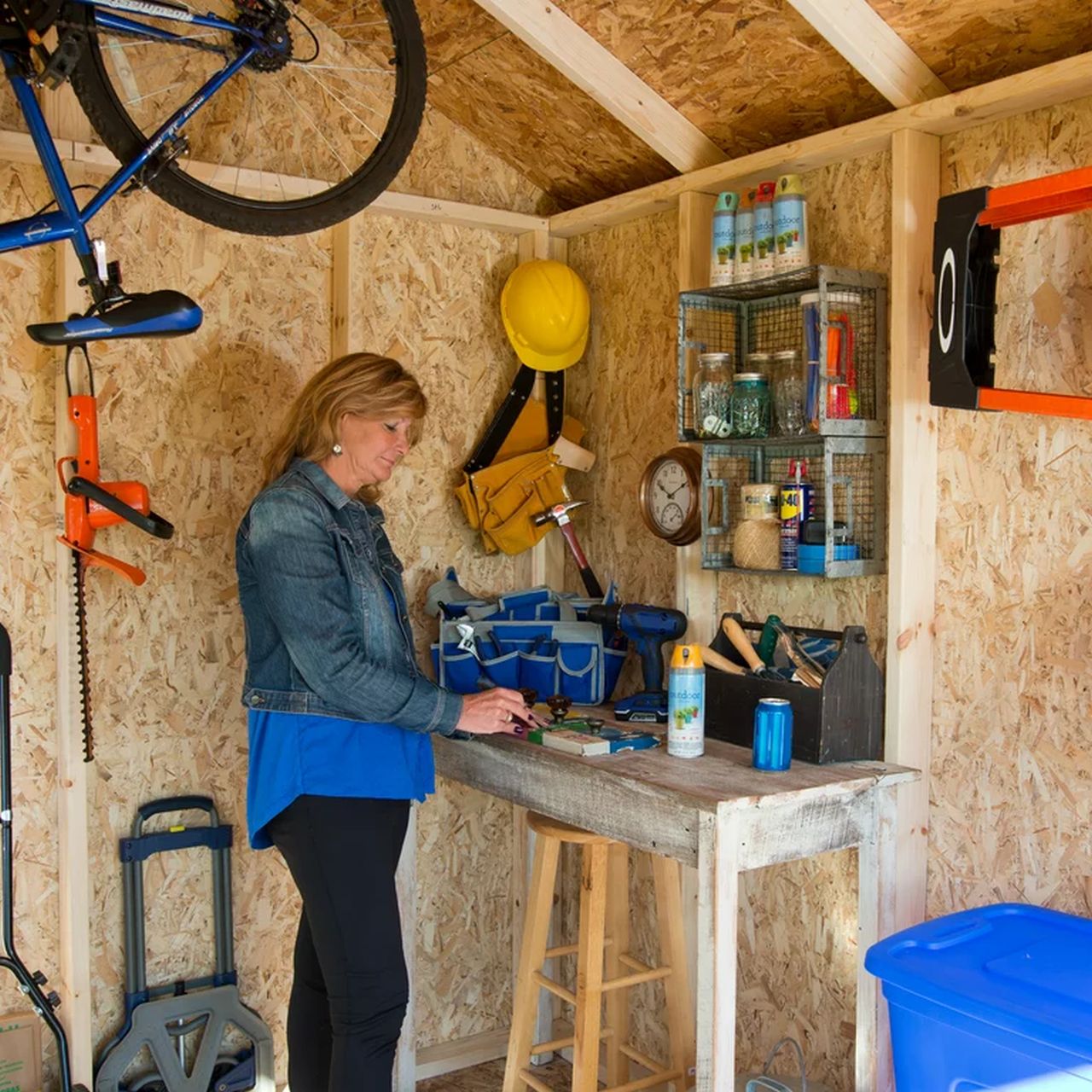 Walmart's $3,000 Tiny House Doubles as a Storage Shed