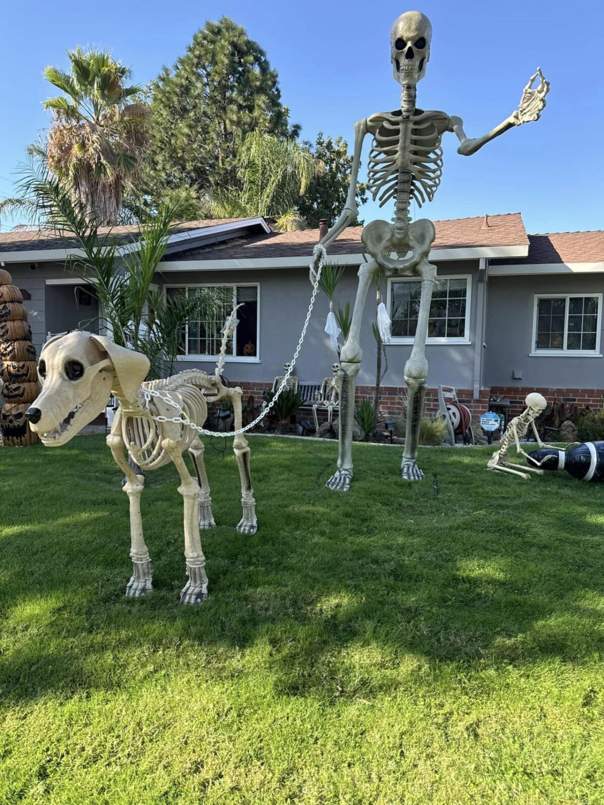 100+ Skeleton Halloween Decoration Ideas for Outdoors