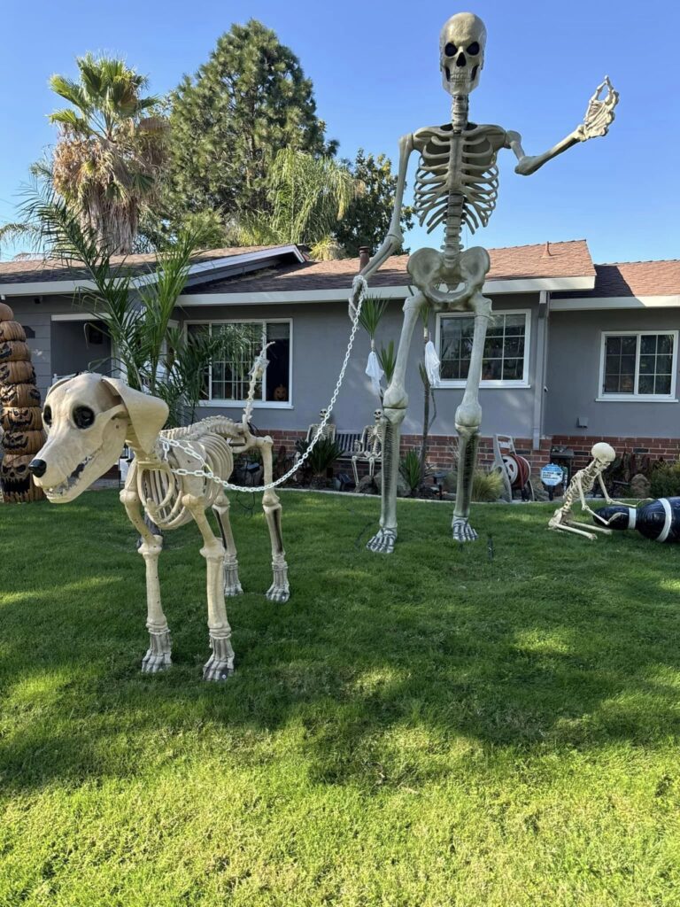 100+ Skeleton Halloween Decoration Ideas for Outdoors