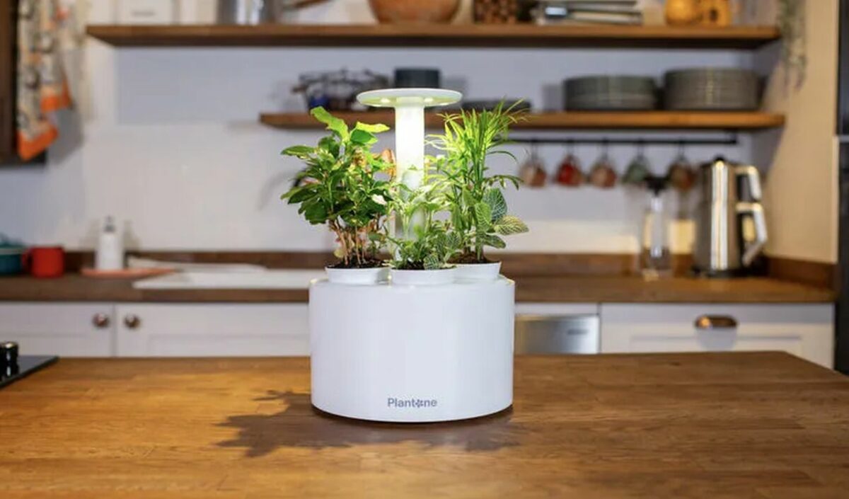 Plantone 2.0 Smart Garden Autonomously Rears 5 Plants Together