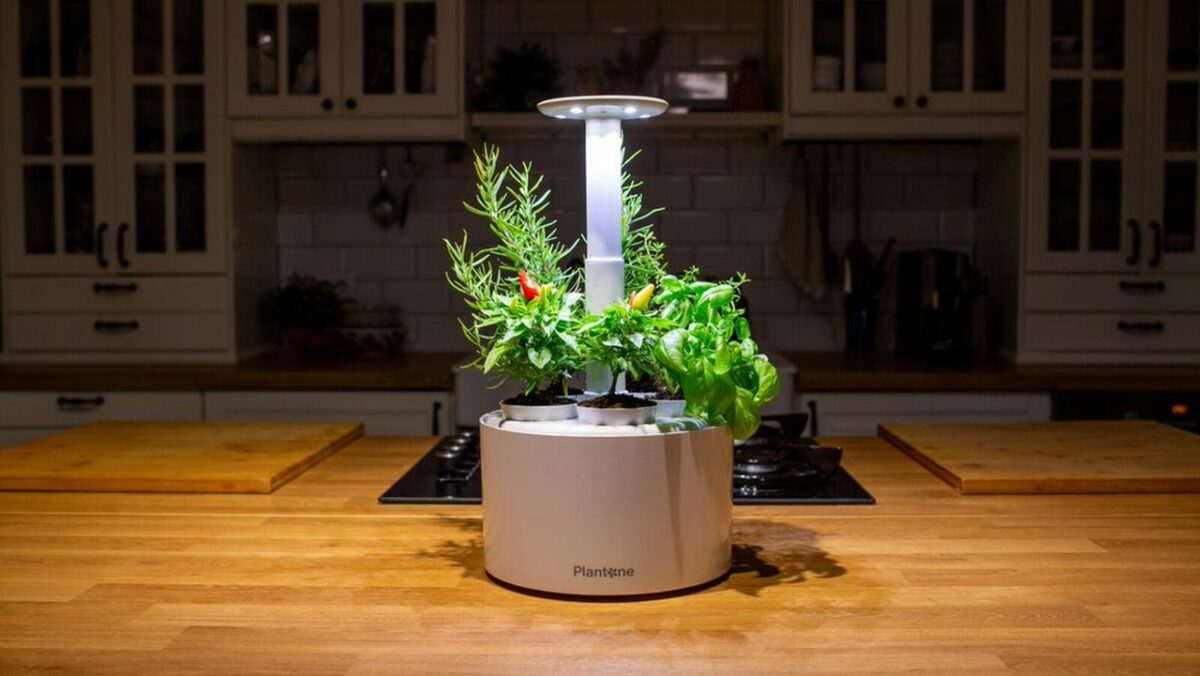 Plantone 2.0 Smart Garden Autonomously Rears 5 Plants Together