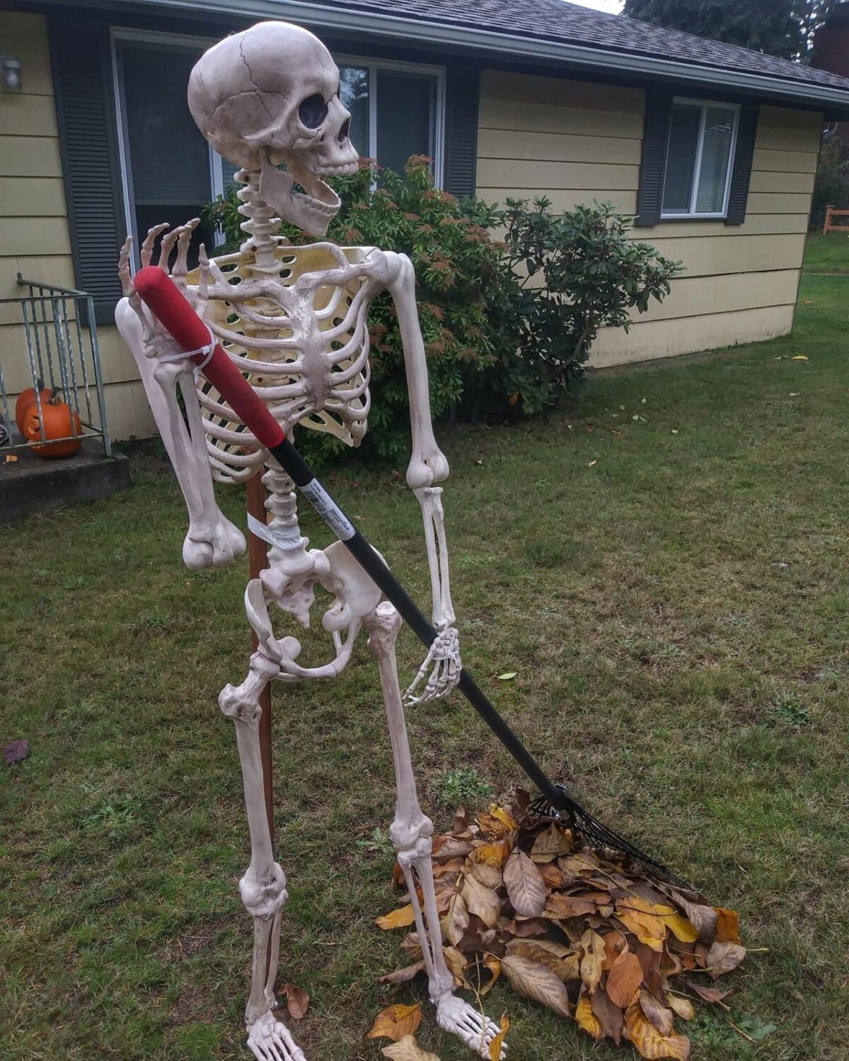 100+ Skeleton Halloween Decoration Ideas for Outdoors