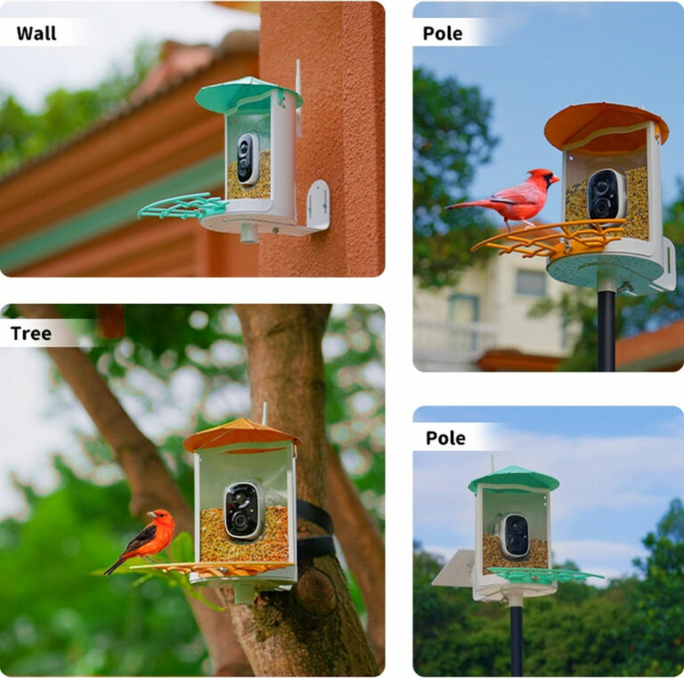 Birdkiss S1 Bird Feeder is AI, Solar-Powered for Max Autonomy