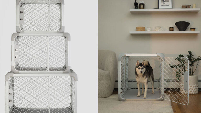 Diggs Evolv Dog Crate is your pet's Hybrid Playpen