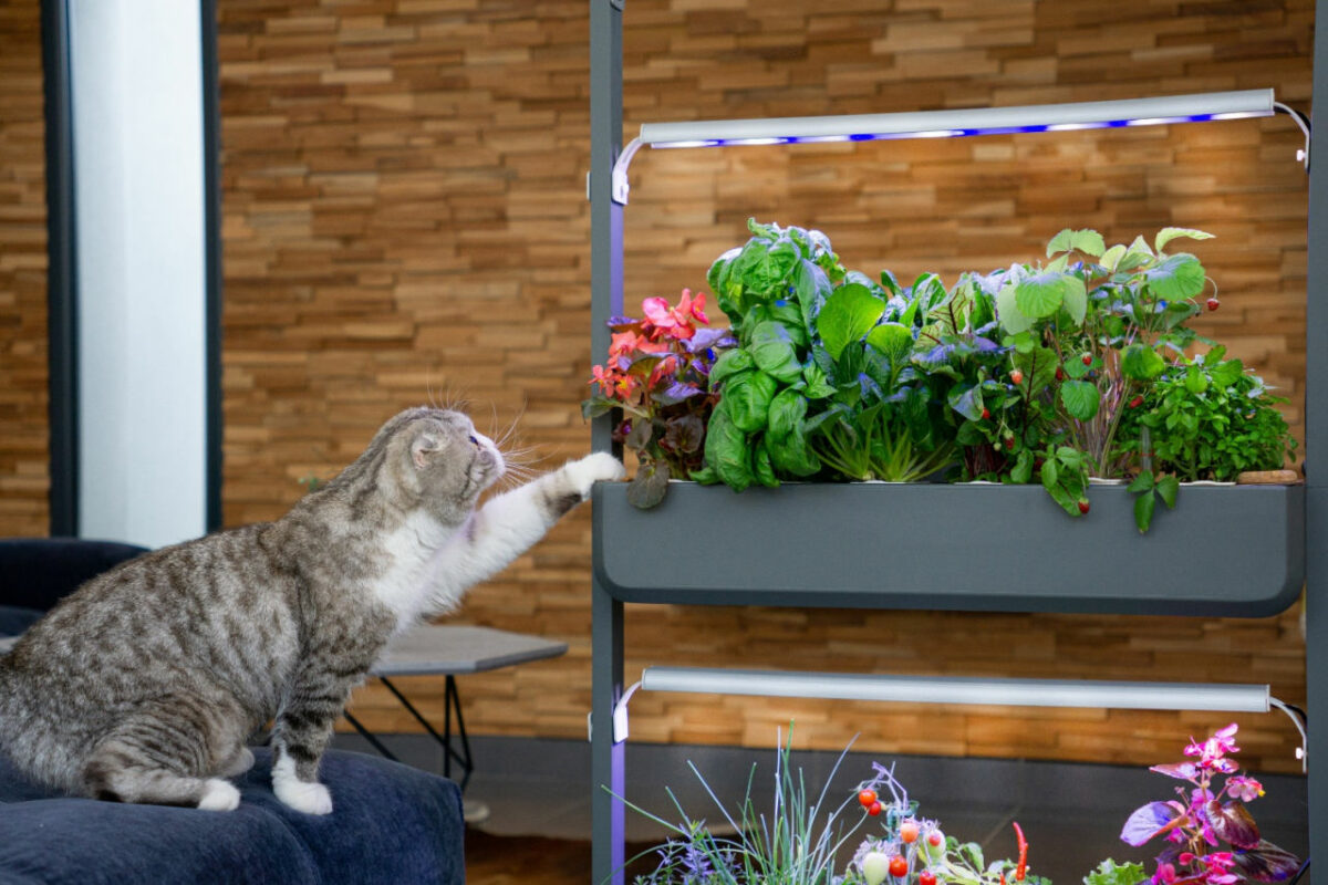 Self-Sufficient Gourmet Vertical Garden Thrives on Modular Design