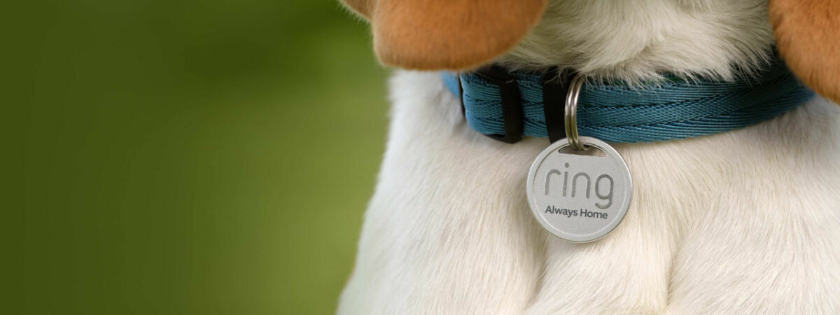 Ring Pet Tag Uses QR Code to Help You Reunite With a Lost Dog