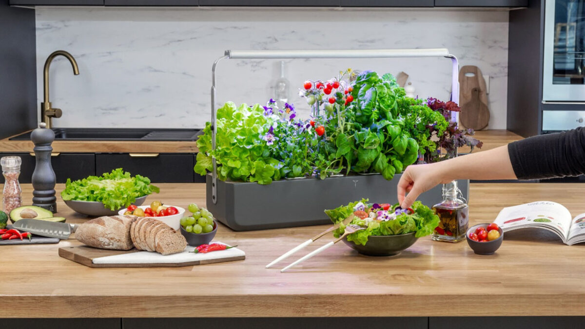 Self-Sufficient Gourmet Vertical Garden Thrives on Modular Design