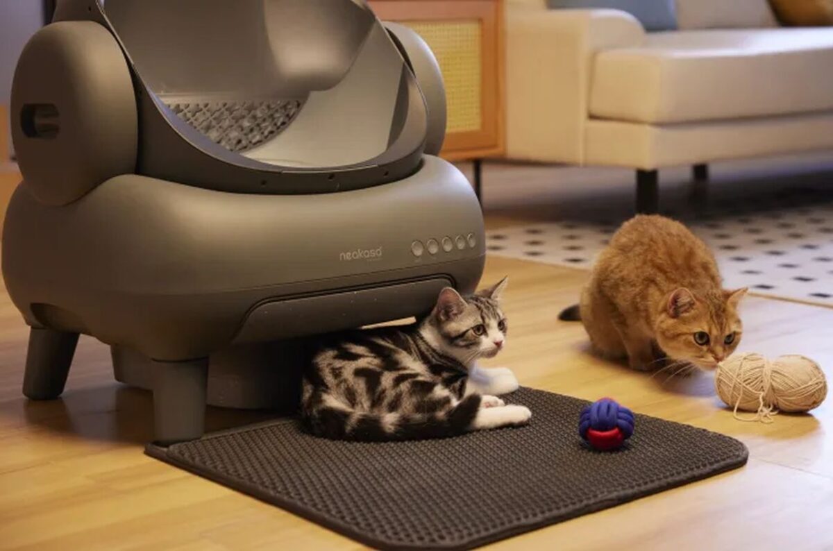Neakasa M1 is an Open-Top Self-Cleaning Cat Litter Box