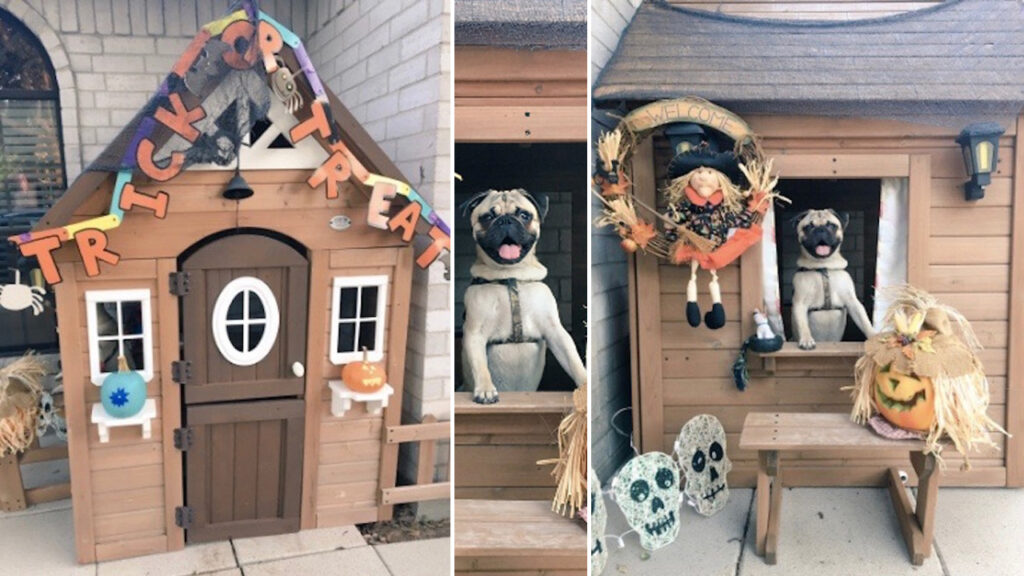 Five Scary Dog House Ideas for Howl-O-Ween