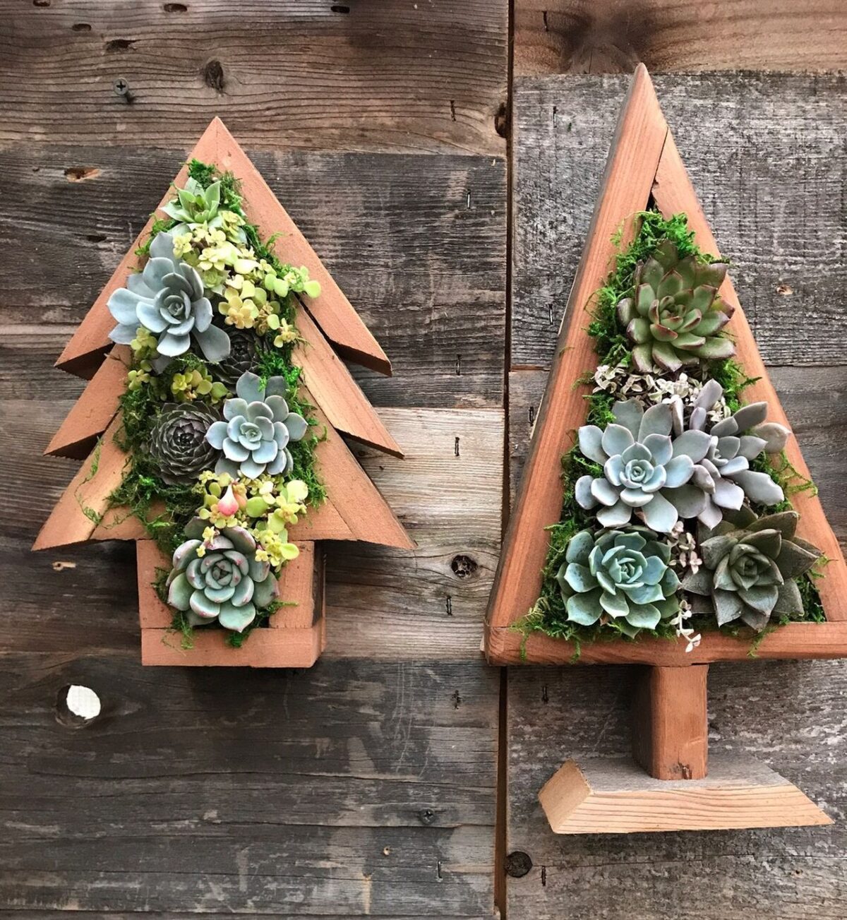 35+ Tabletop Christmas Trees You Can Buy This Season