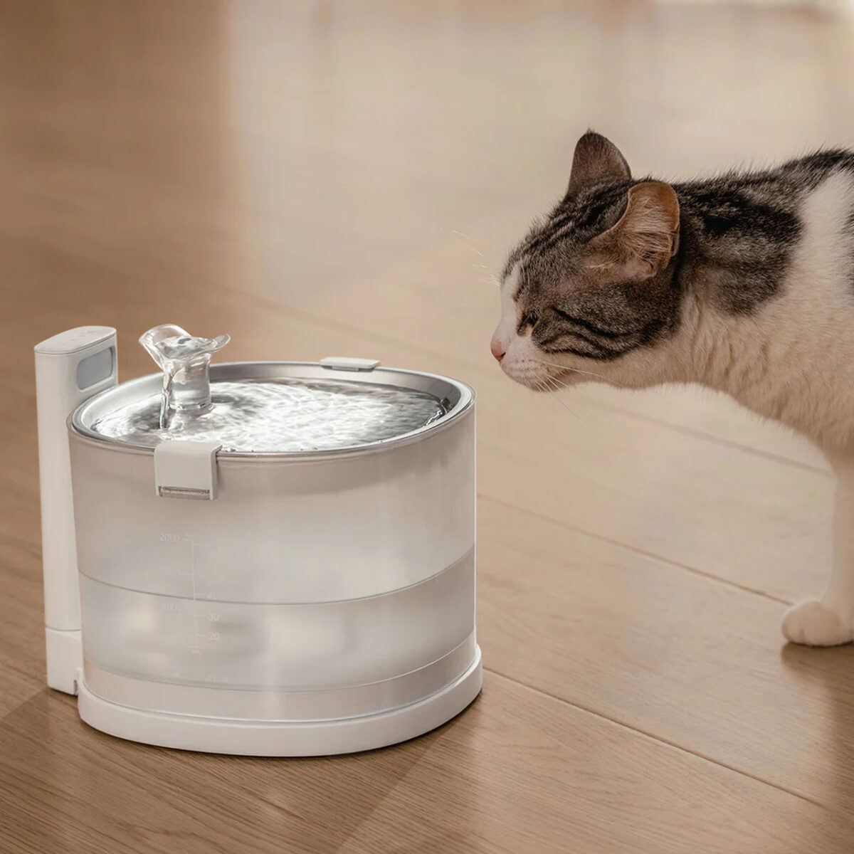 Elfin Pet Water Fountain has Pumpless Design and 30-Day Battery