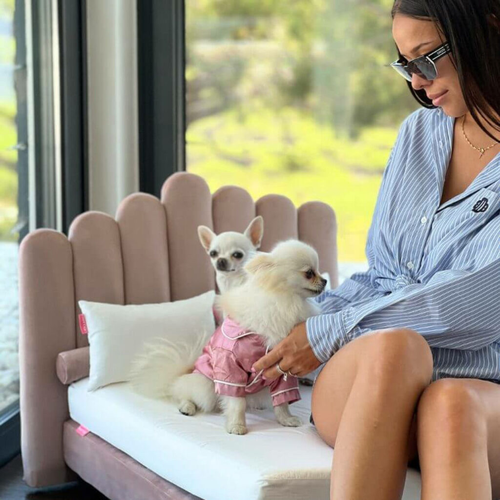 Hooman Life Luxor Pet Bed Supports Your Dog’s Slumber in Style