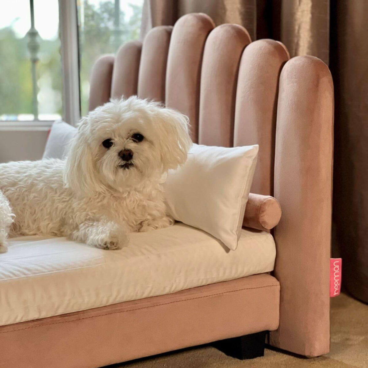 Hooman Life Luxor Pet Bed Supports Your Dog’s Slumber in Style