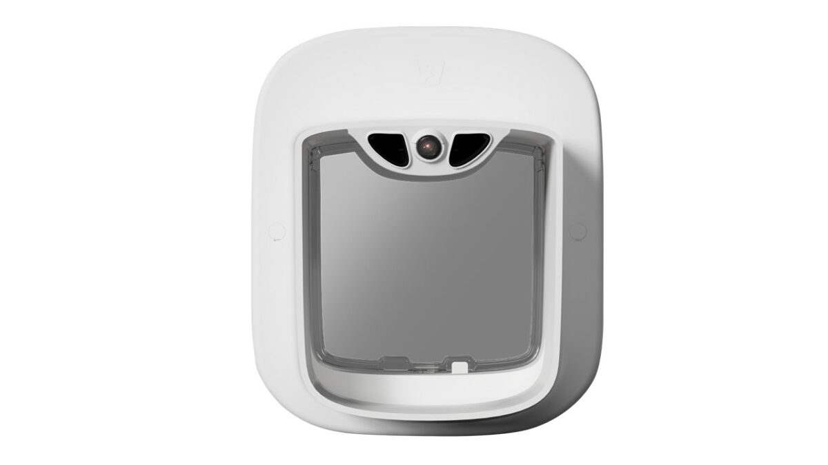 Pawly Cat Door Doesn’t Let Your Cat Bring Prey Home