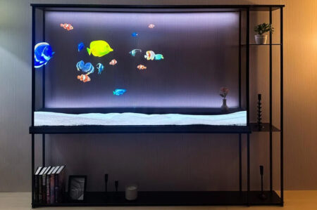 Transparent TV LG Signature OLED T Redefines the Wheel