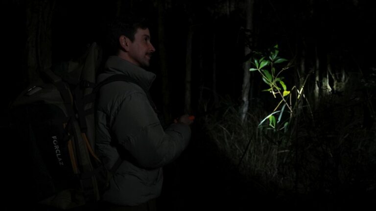 Mars Players Prometheus 1 is a Multifunctional Outdoor Light