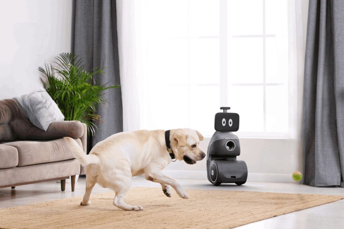 Best Pet Tech From CES 2024: Keep Your Pal Happy and Healthy