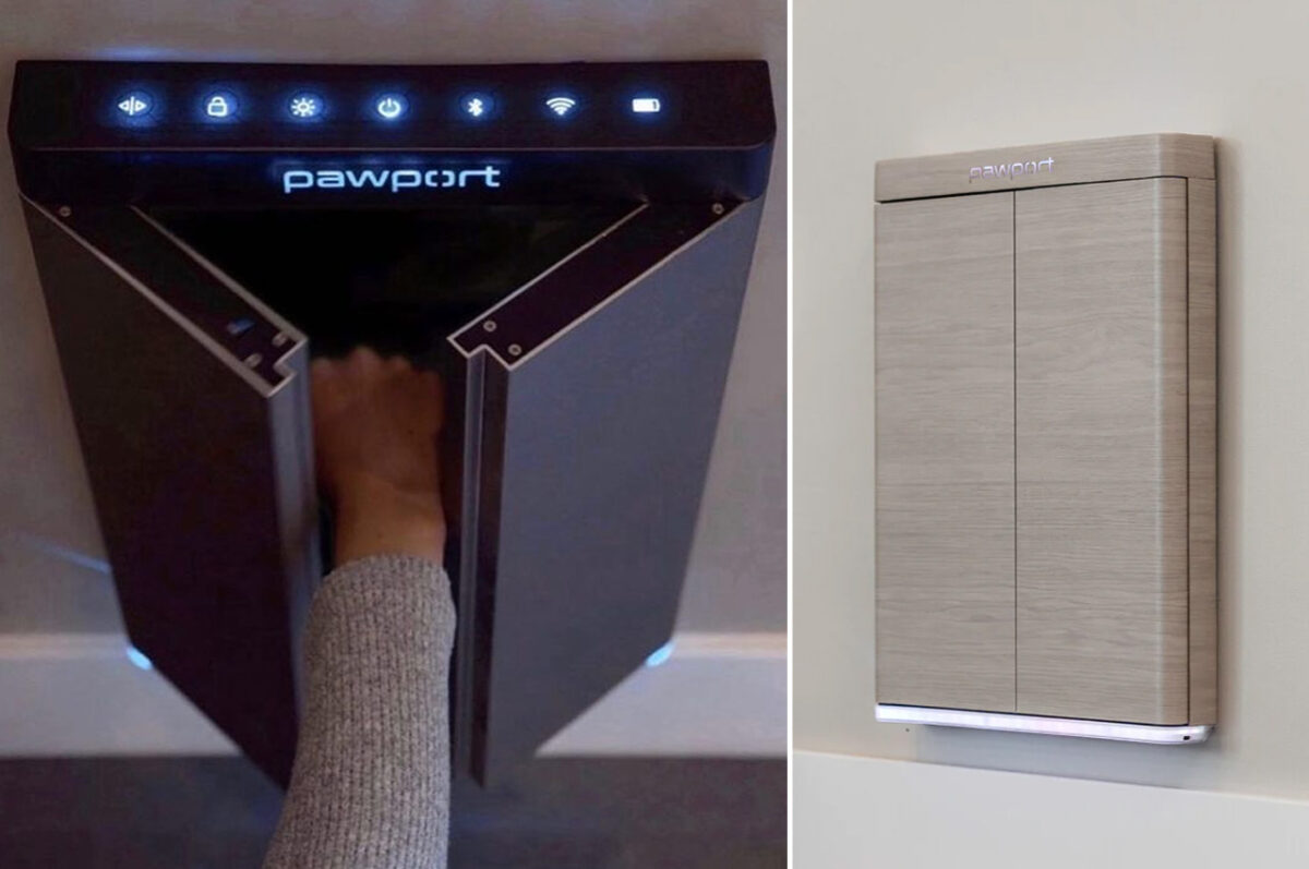 Pawport Turns Existing Door Into WiFi Enabled, Functional Pet Flap