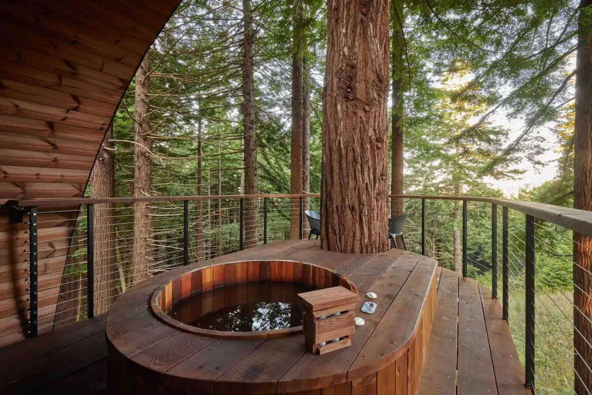 Spyglass Treehouse Exhibits Sustainability and Harmony With Nature